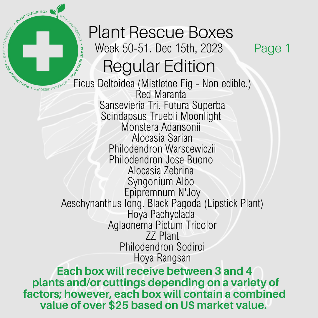 The Plant Rescue Box - USA – CheyDPlantLady