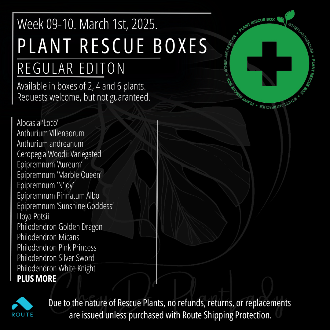 Plant Rescue Boxes – CheyDPlantLady